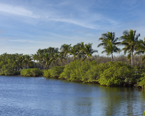What to Know About Cutler Bay, Florida 33157, 33189 & 33190